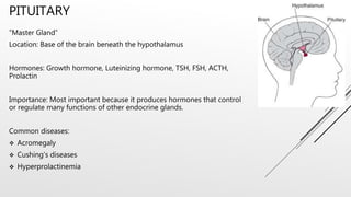 INTRODUCTION TO ENDOCRINE SYSTEM | PPTX