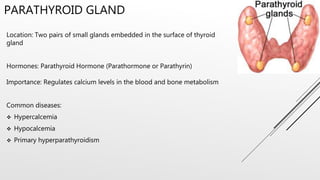 INTRODUCTION TO ENDOCRINE SYSTEM | PPTX