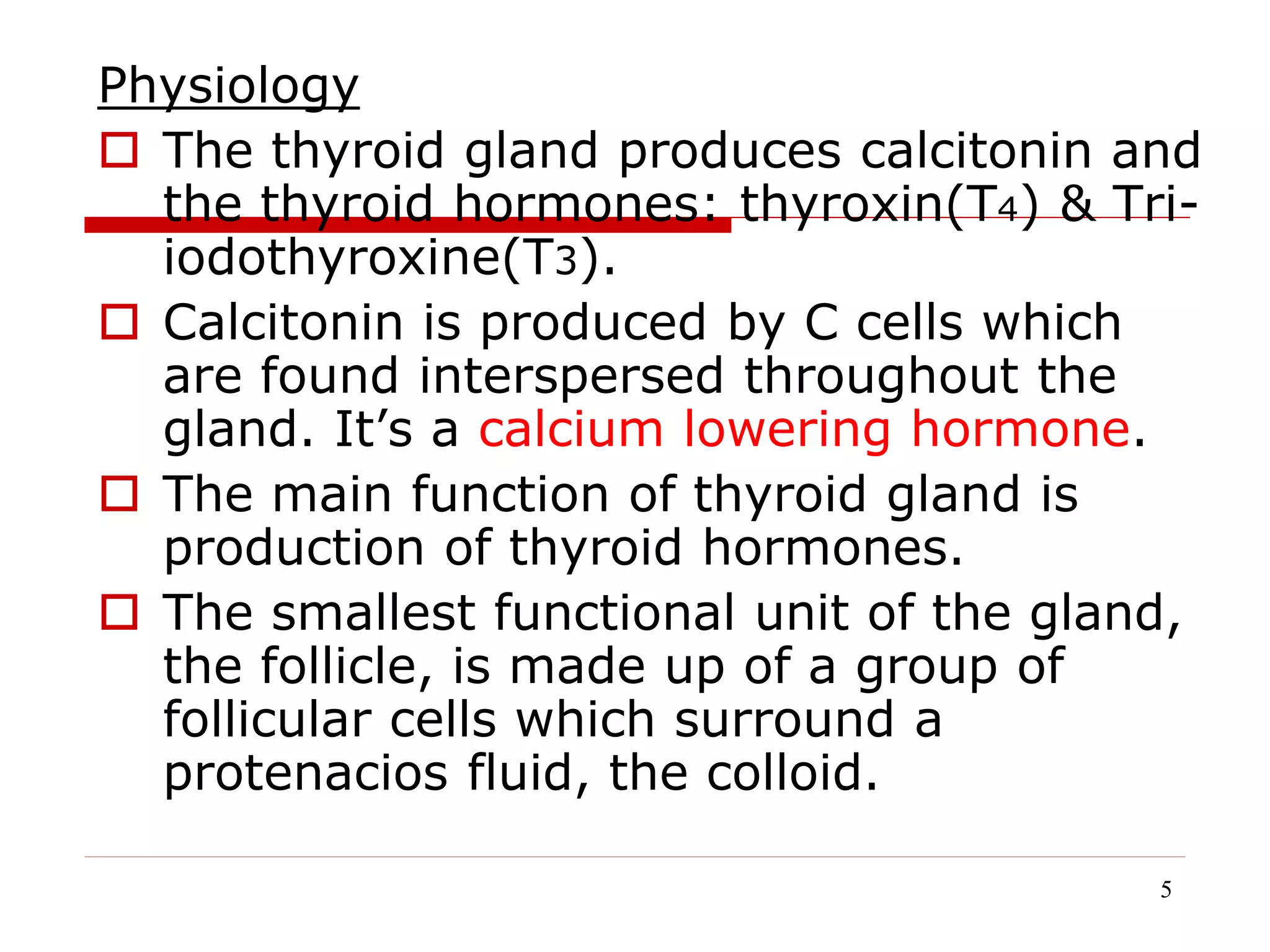 endocrine lecture.pdf