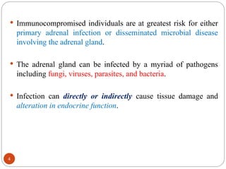 Endocrine Microbiology module slide2024.ppt