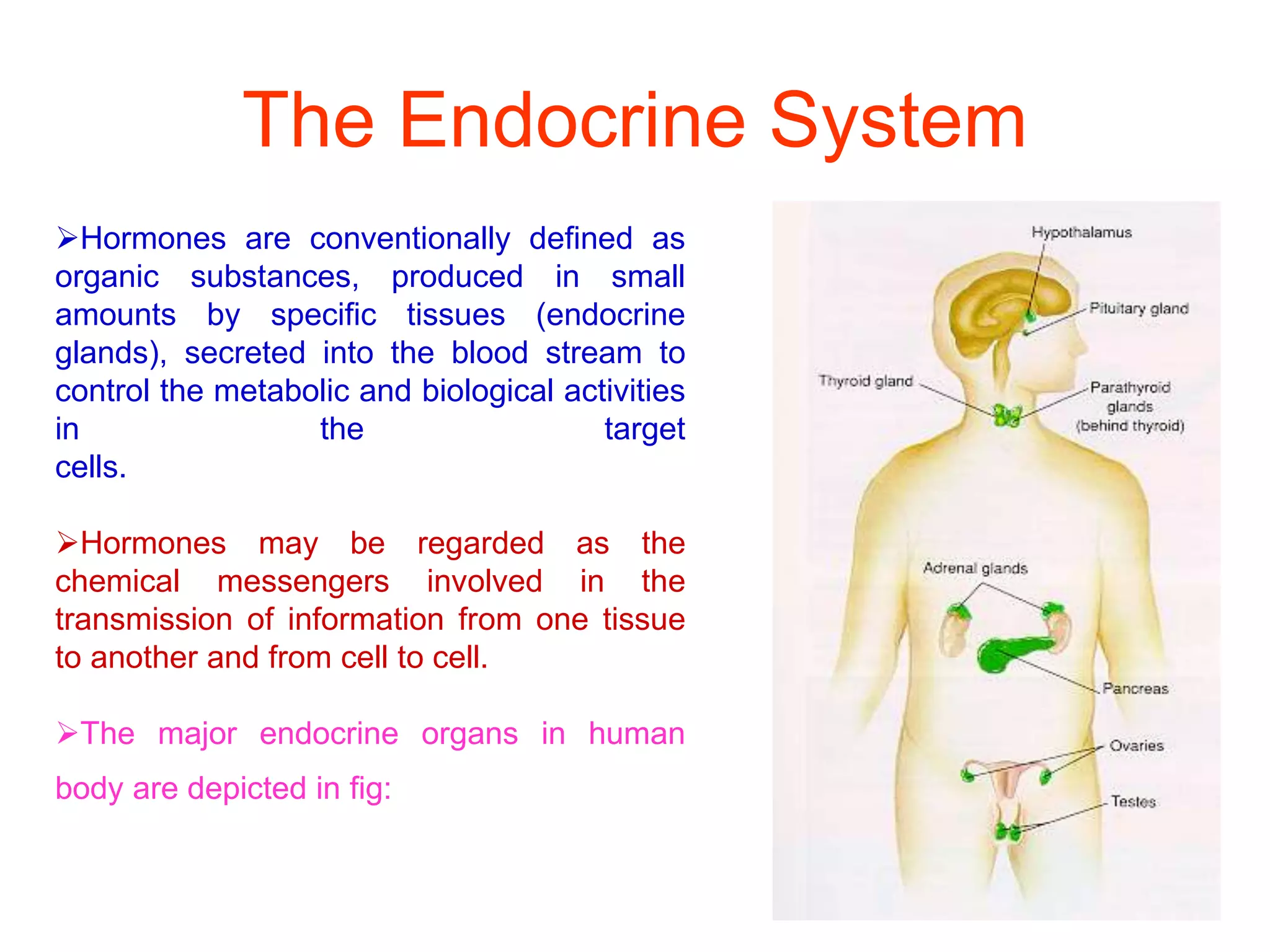 Endocrine new.ppt | Endocrine and Metabolic Diseases | Diseases and Conditions