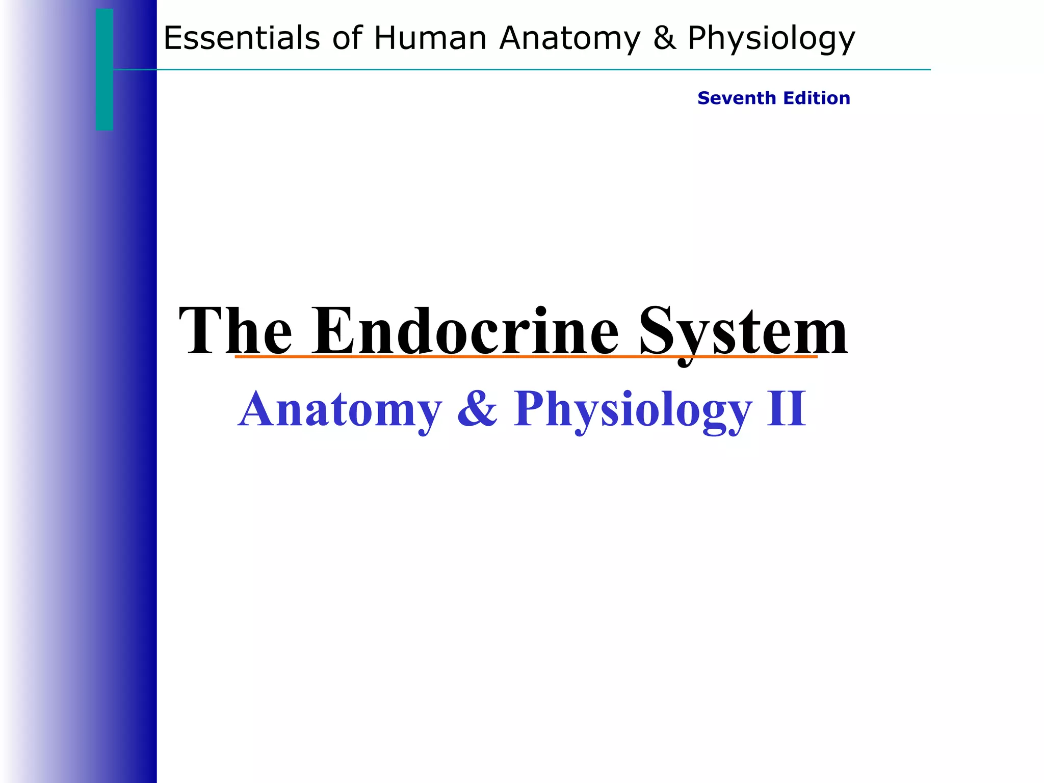 Endocrine System Notes | PPT