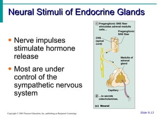 Endocrine System Notes | PPT