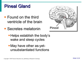 Endocrine System Notes | PPT