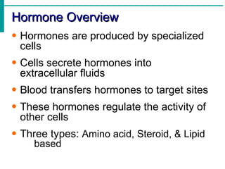 Endocrine System Notes | PPT