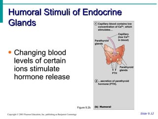 Endocrine System Notes | PPT