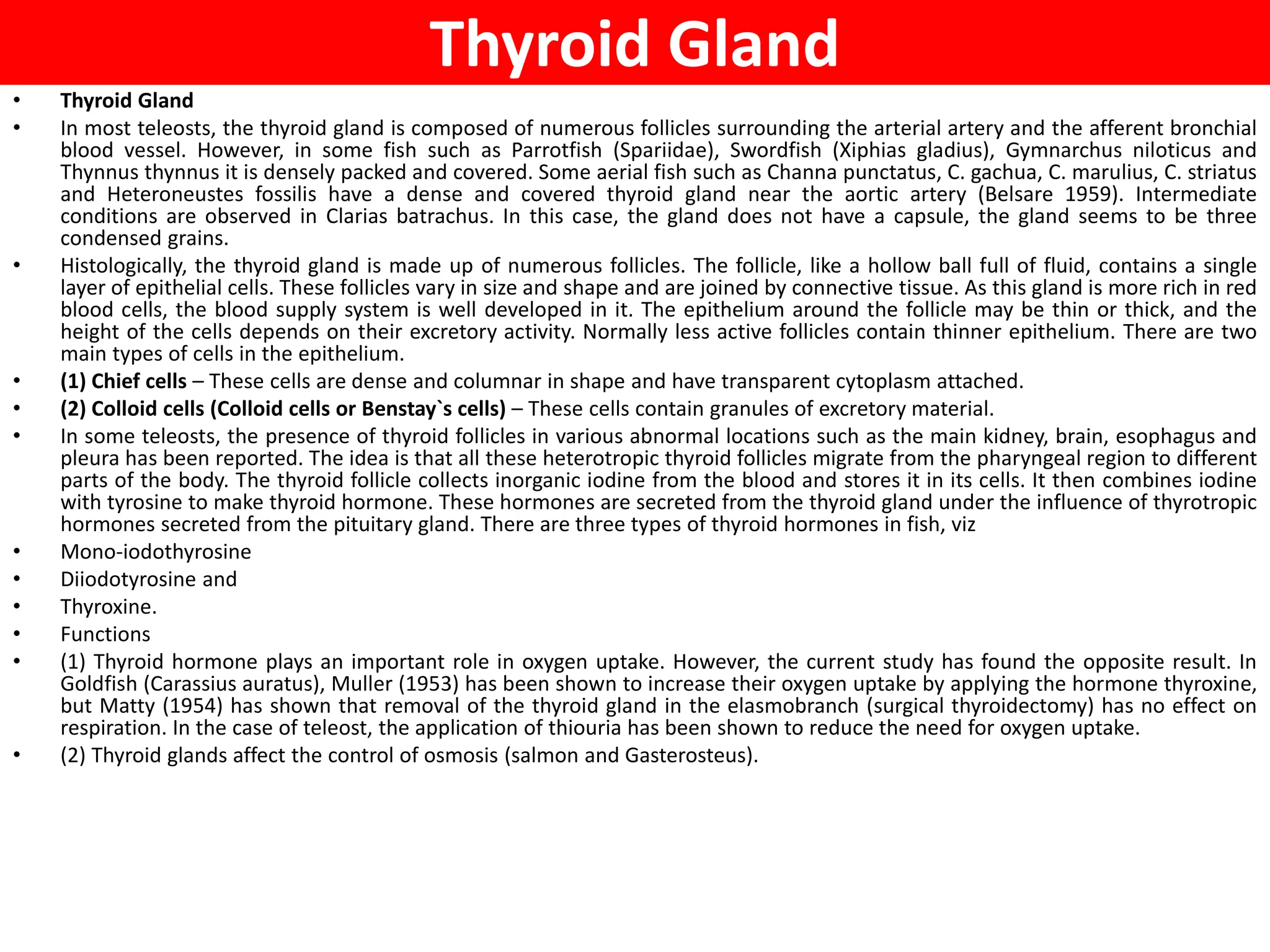 Endocrine Organs and their physiological functions in fishes by B.pptx