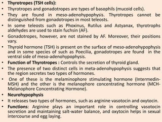 Endocrine Organs and their physiological functions in fishes by B.pptx ...