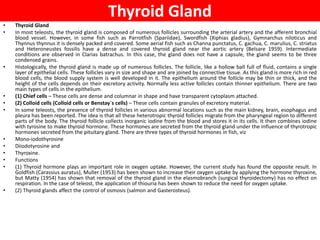 Endocrine Organs and their physiological functions in fishes by B.pptx ...