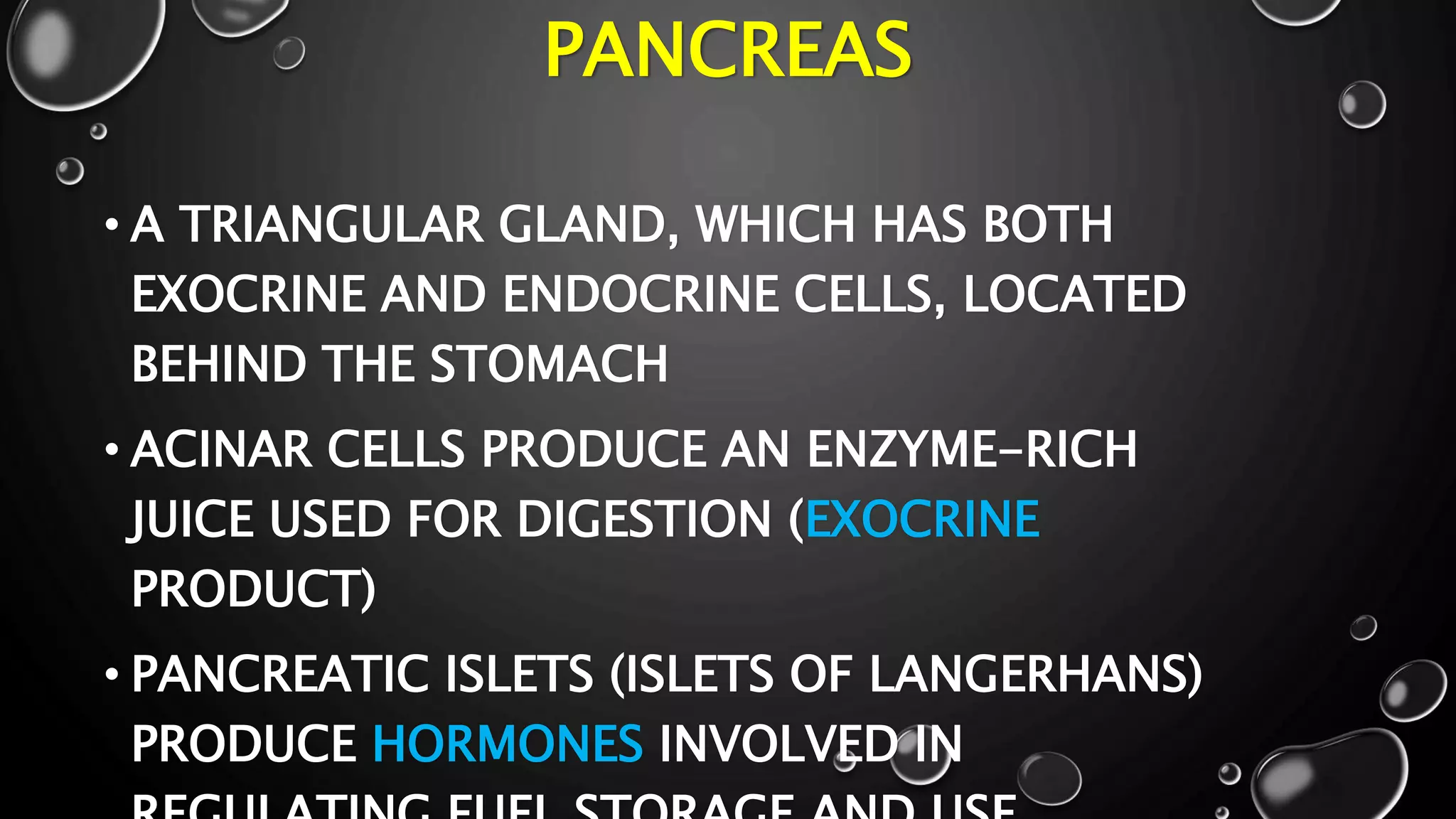Endocrine pancreas | PPTX