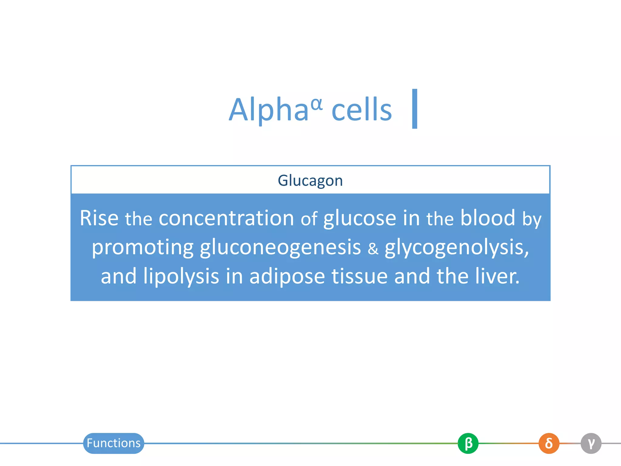 Endocrine pancreas | PDF | Endocrine and Metabolic Diseases | Diseases ...