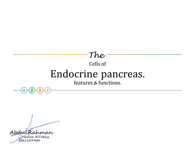 Endocrine pancreas | PPT