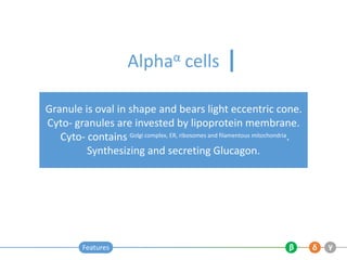 Endocrine pancreas | PDF | Endocrine and Metabolic Diseases | Diseases ...