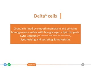 Endocrine pancreas | PDF | Endocrine and Metabolic Diseases | Diseases ...