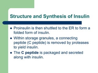 Endocrine pancreas | PPT