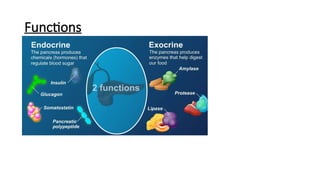 Endocrine pancreas /computerized Tomography and MRI | PPT