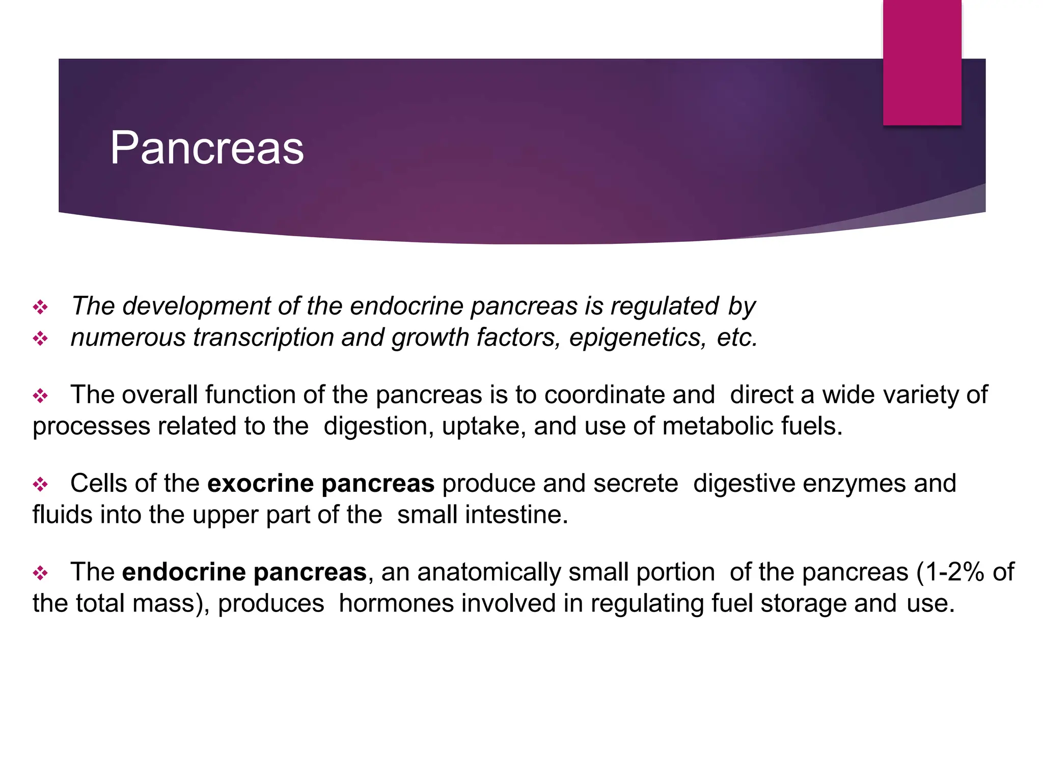 endocrine pancrease.pptxmmmmmmmmmmmmmmmmm | PPTX