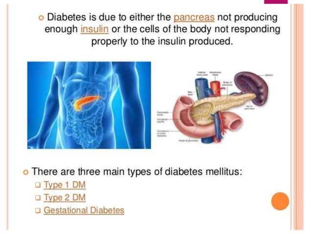endocrine pancrease.pptxmmmmmmmmmmmmmmmmm | PPT