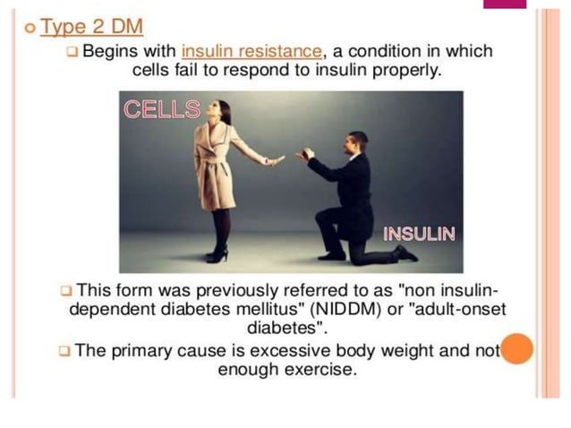 endocrine pancrease.pptxmmmmmmmmmmmmmmmmm | PPT