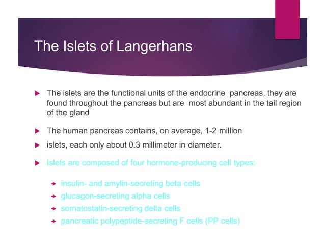 endocrine pancrease.pptxmmmmmmmmmmmmmmmmm | PPT