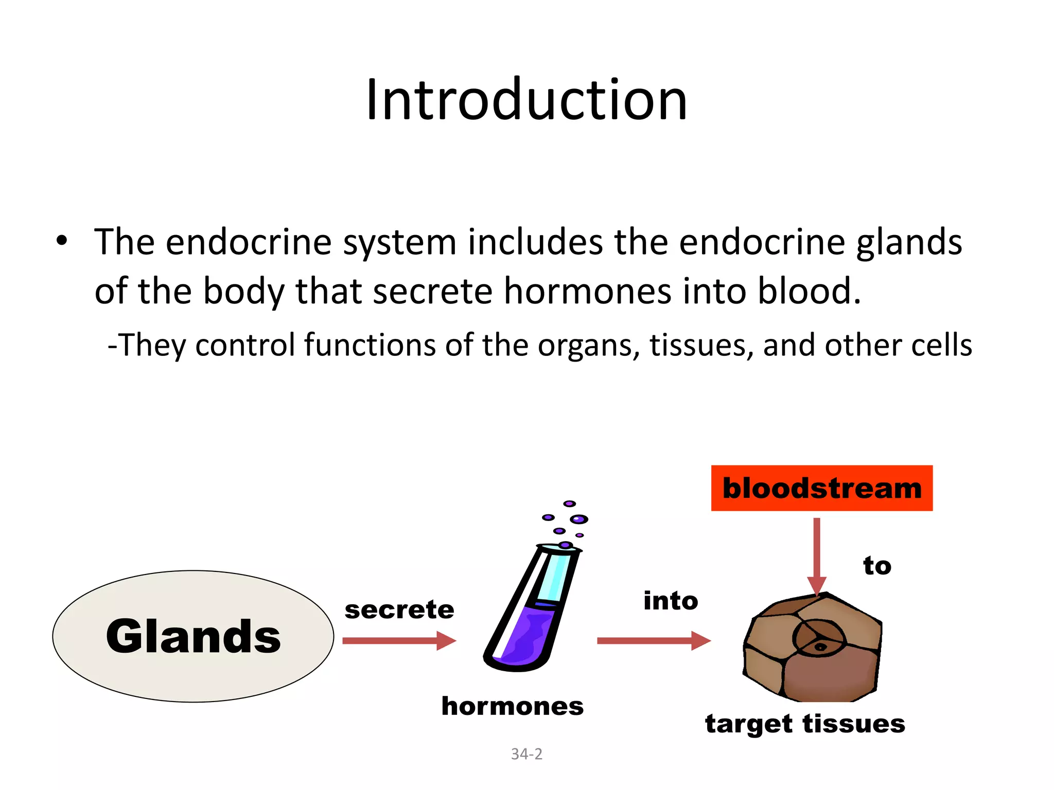 Endocrine part a | PPTX