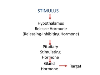 Endocrine part a | PPTX