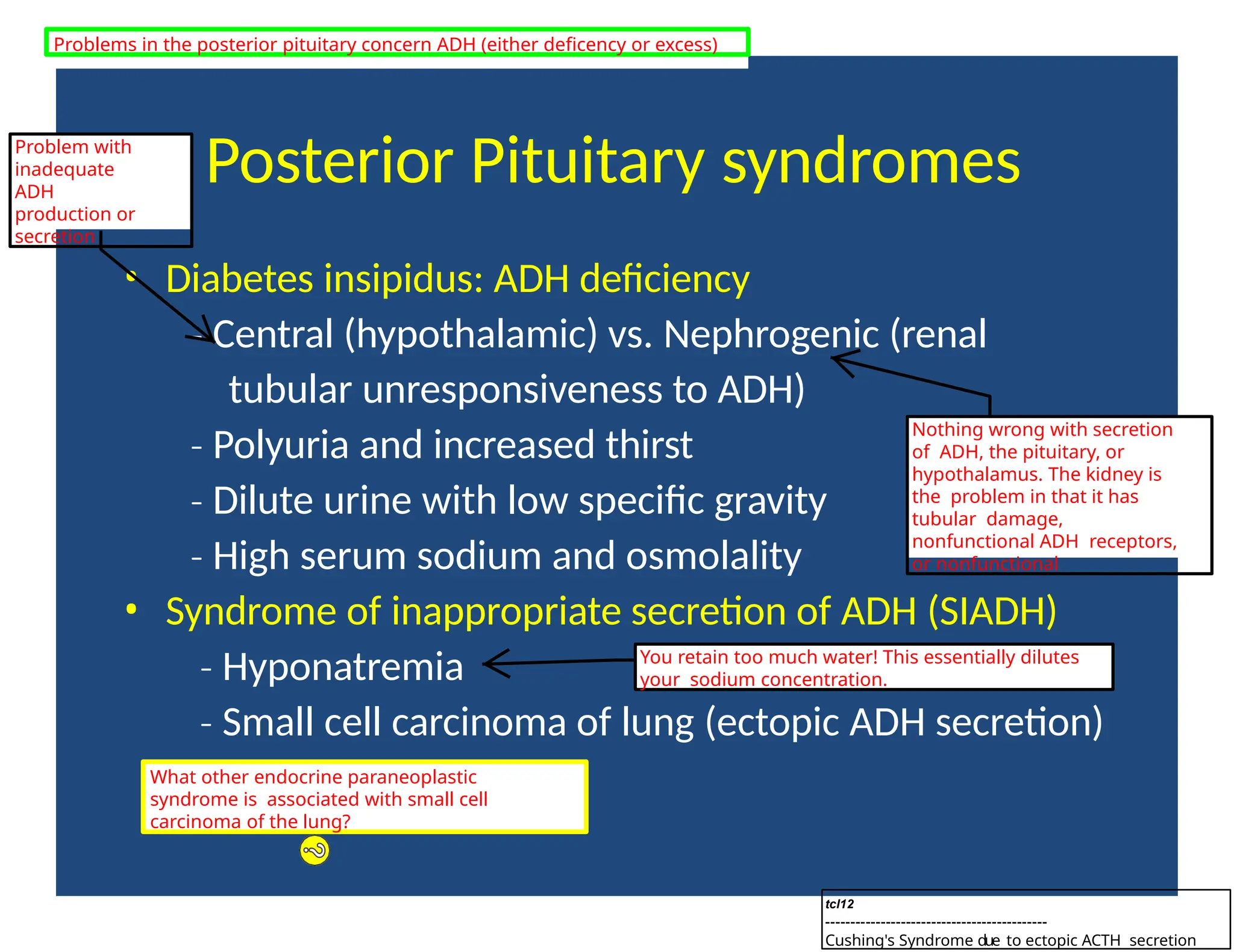 Endocrine PATHO disorders symptoms pathophysiology.pptx