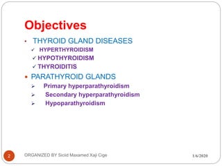 Endocrine pathology | PPT