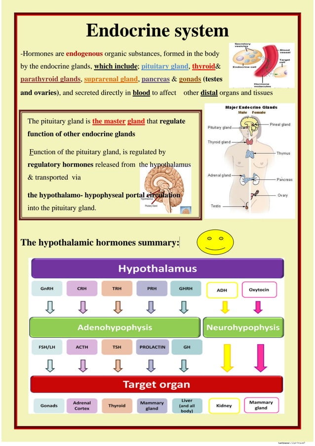 endocrine pharmacology modified -converted(1).pdf