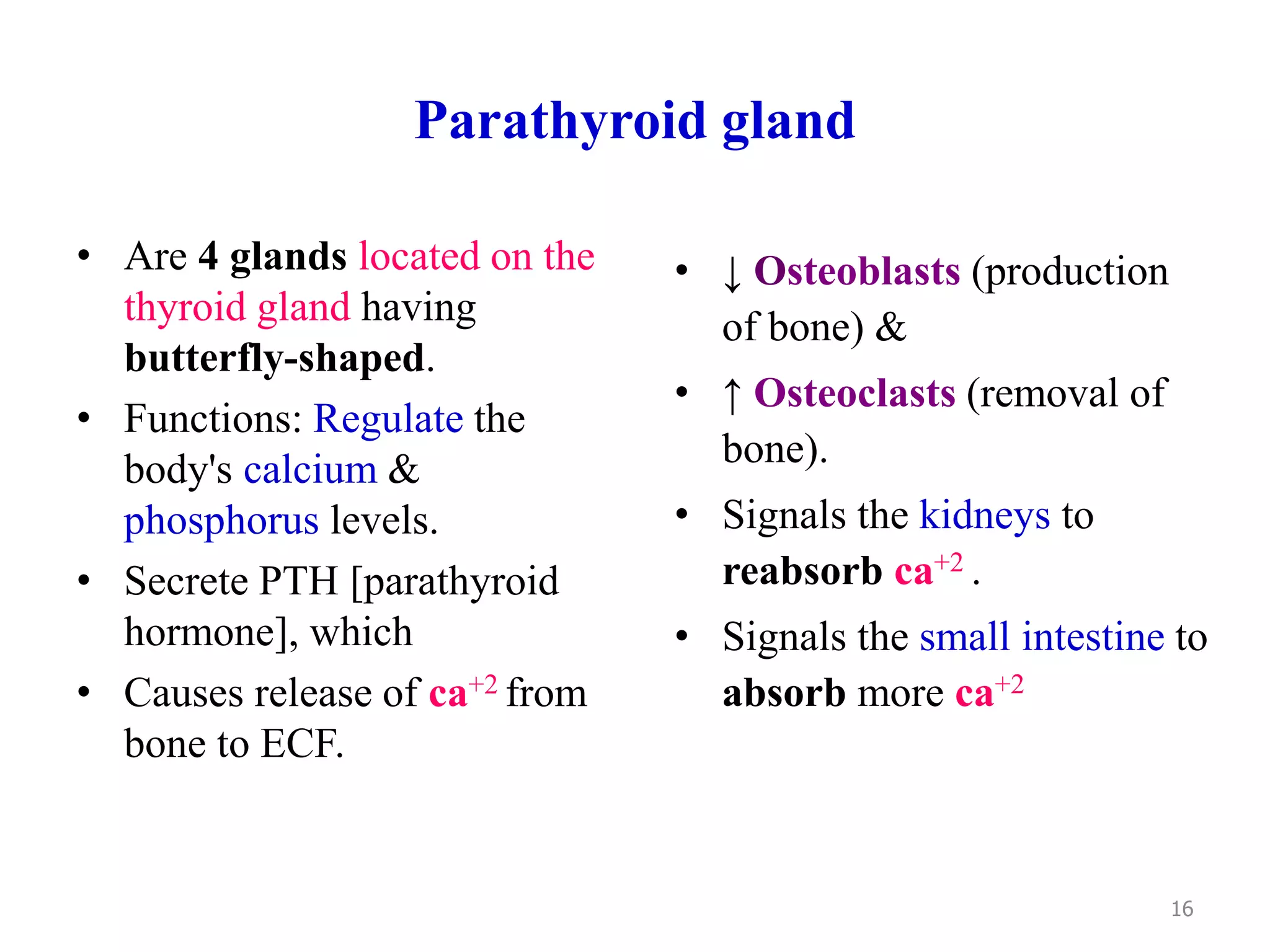 Endocrine physiology.pptx