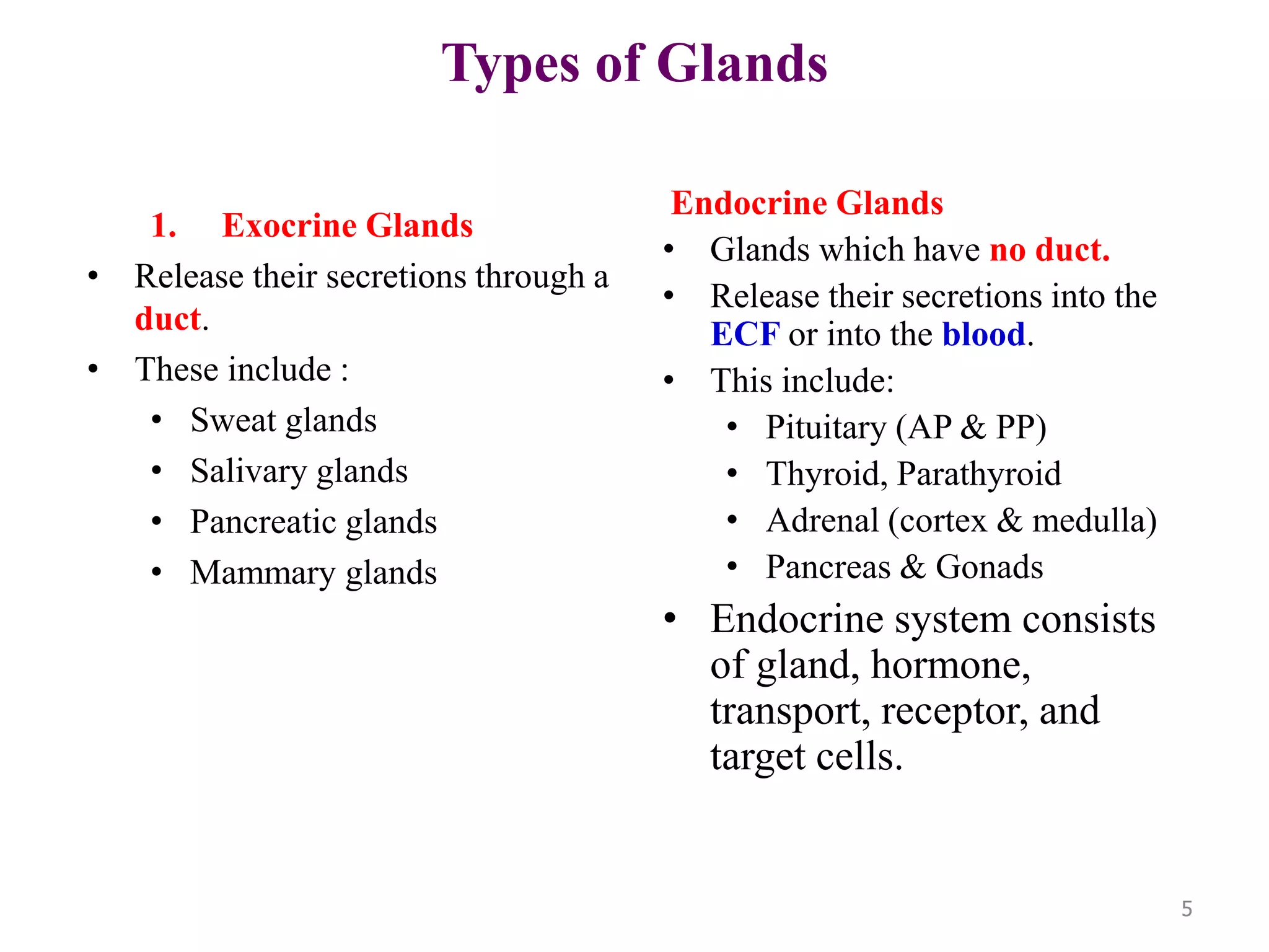 Endocrine physiology.pptx