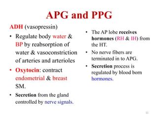 Endocrine physiology.pptx