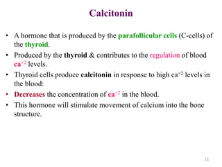 Endocrine physiology.pptx