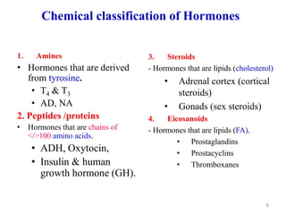 Endocrine physiology.pptx
