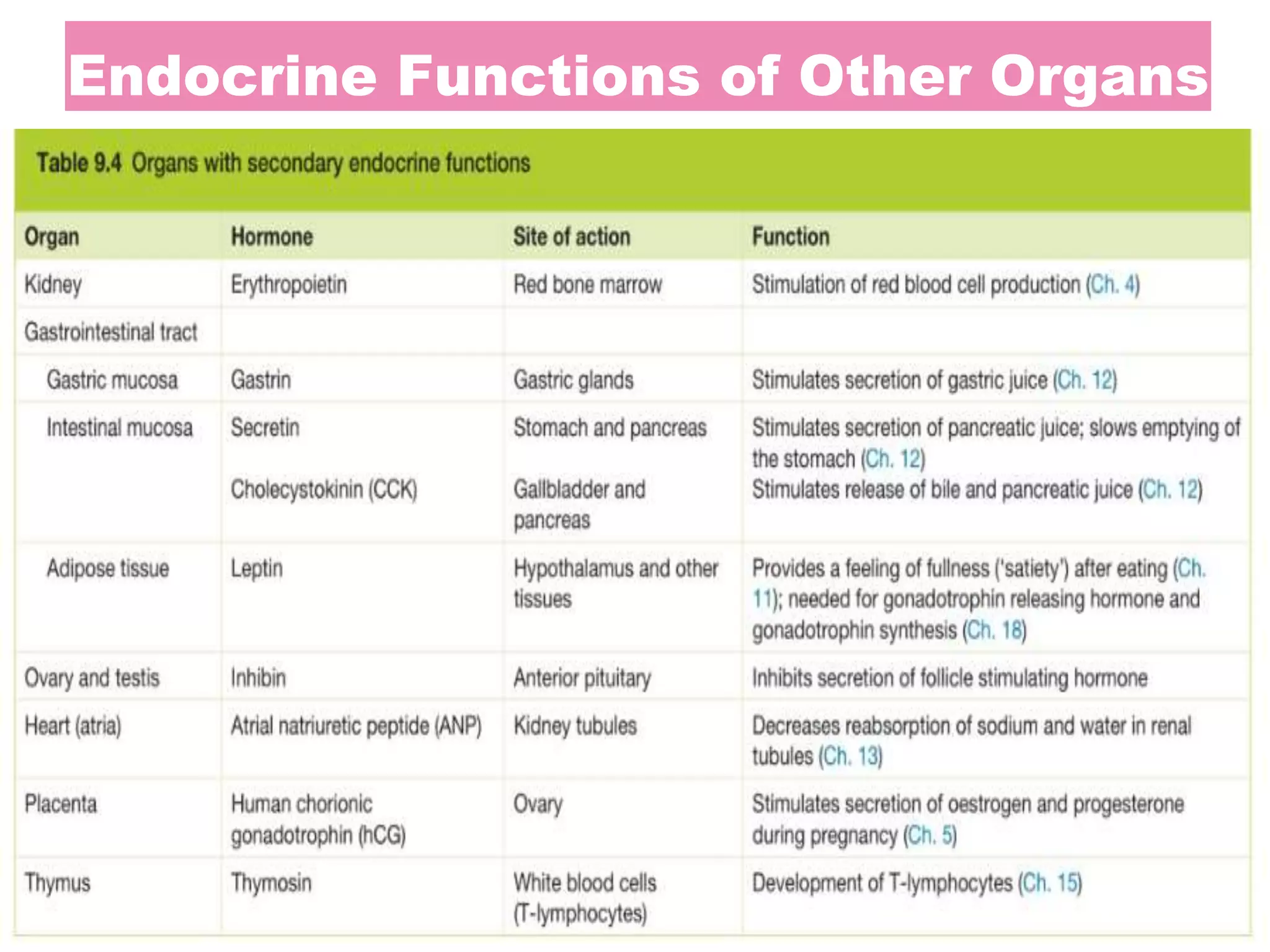 Endocrine Physiology.pptx