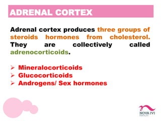 Endocrine Physiology.pptx
