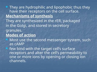 A Concise Review of Endocrine Physiology | PPTX
