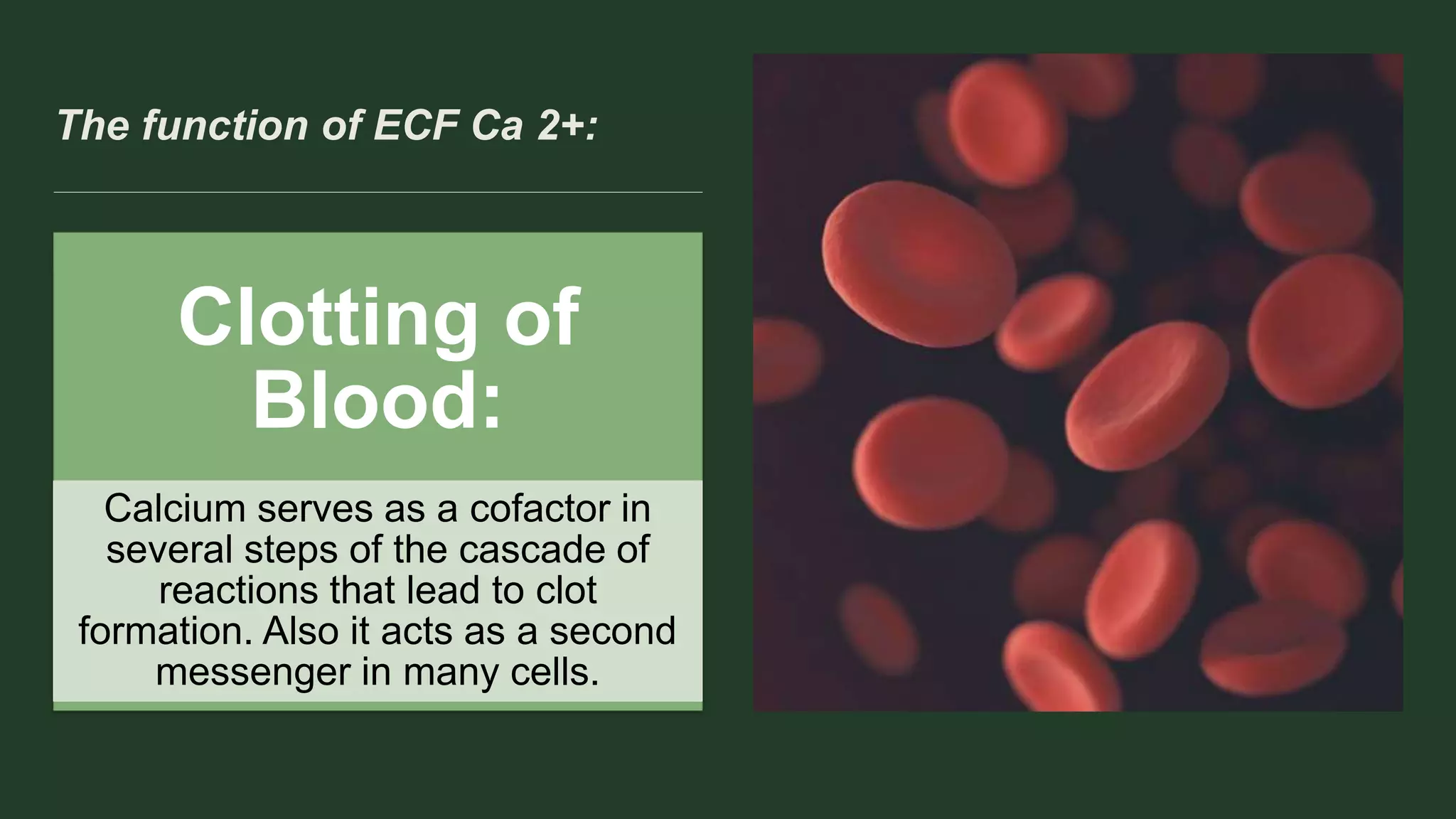 Endocrine Physiology ca homeostasis.pptx