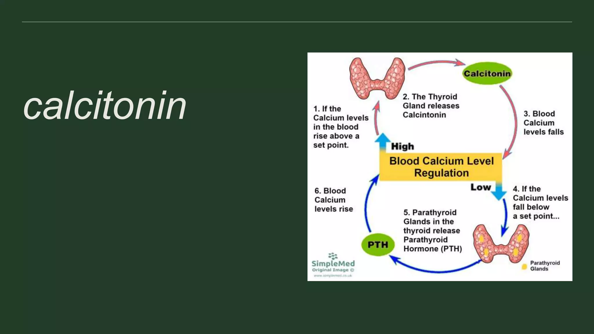 Endocrine Physiology ca homeostasis.pptx