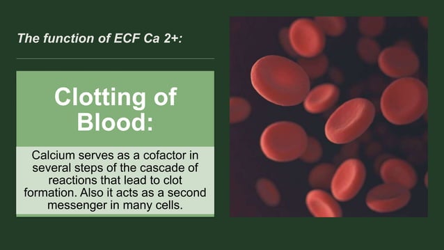 Endocrine Physiology ca homeostasis.pptx