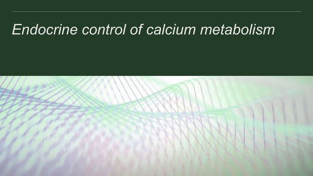 Endocrine Physiology ca homeostasis.pptx