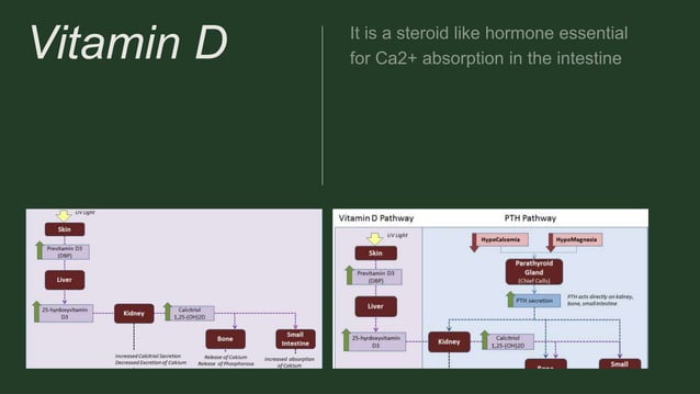 Endocrine Physiology ca homeostasis.pptx