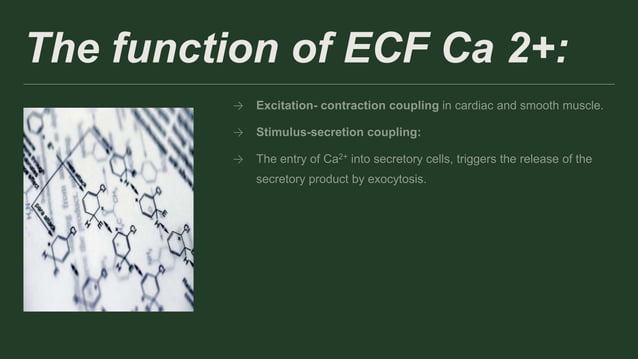 Endocrine Physiology ca homeostasis.pptx