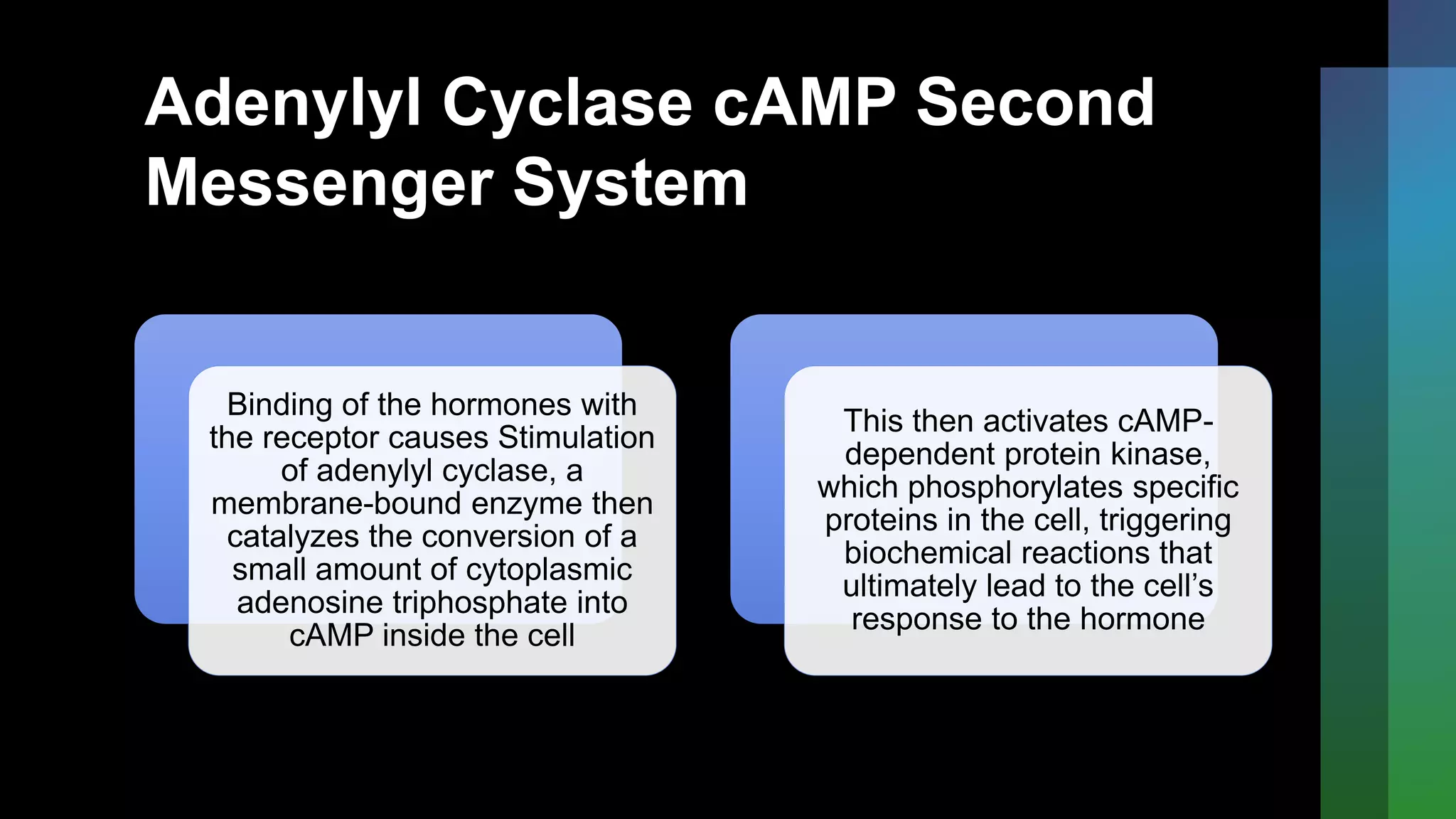 Endocrine Physiology introduction.pptx