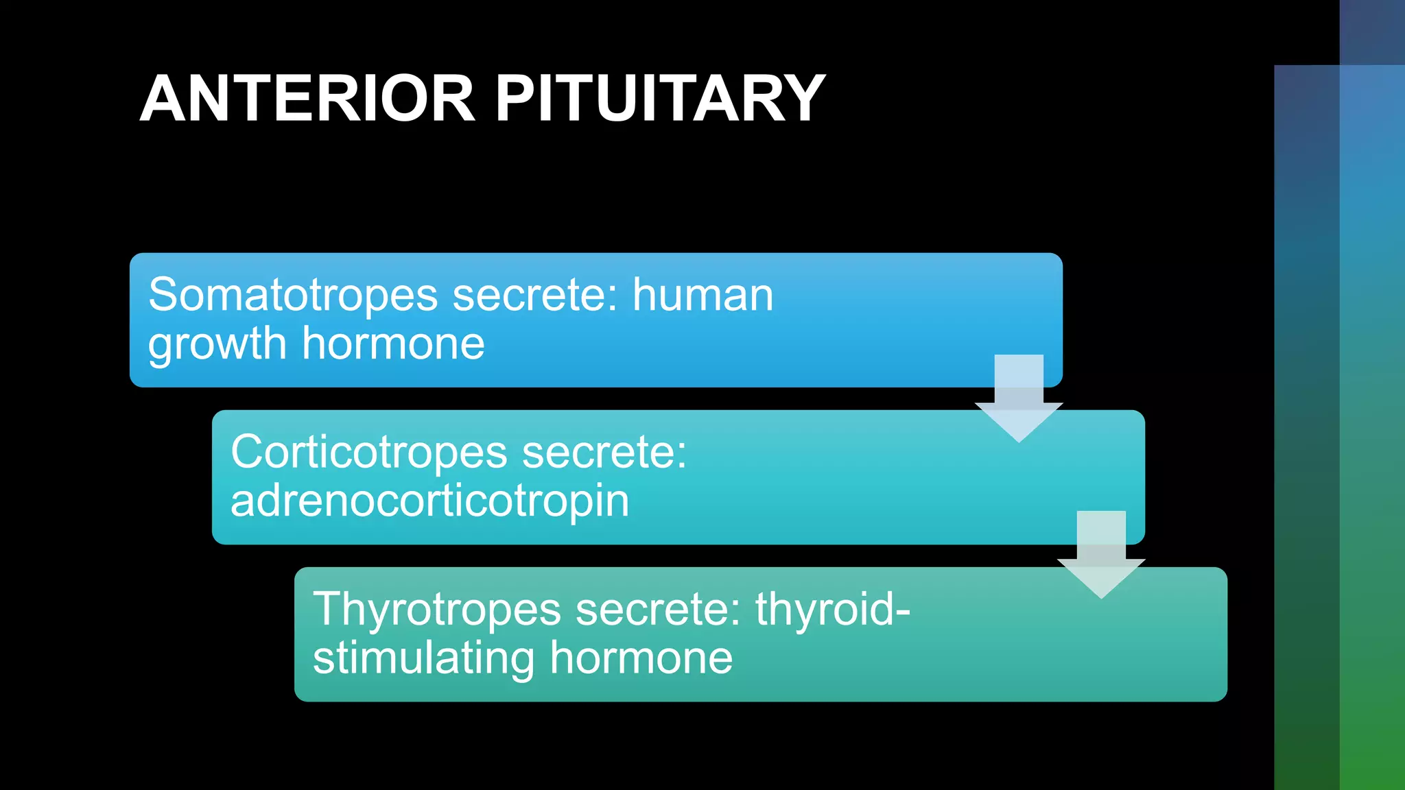 Endocrine Physiology introduction.pptx