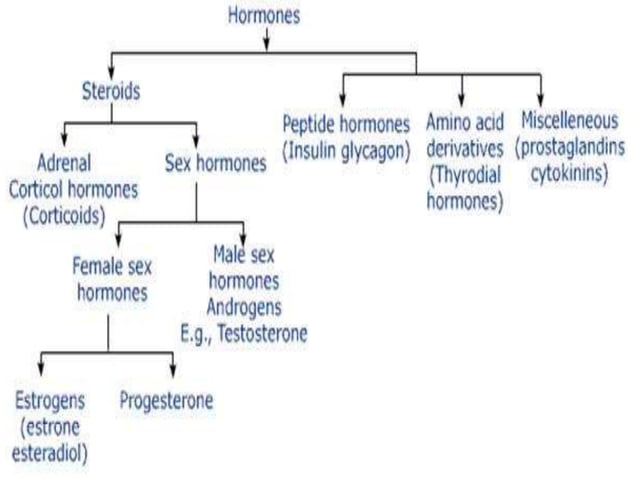 ENDOCRINE PHYSIOLOGY LECTURE FOR 300L MBBS-BSc 2019-2020-1.ppt