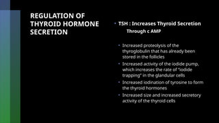 Endocrine system Physiology thyroid.pptx