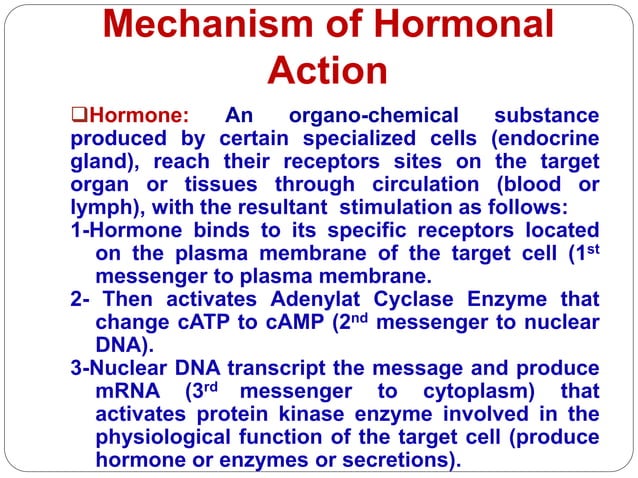 Endocrine regulation of reproduction | PPS | Pregnancy | Reproductive ...