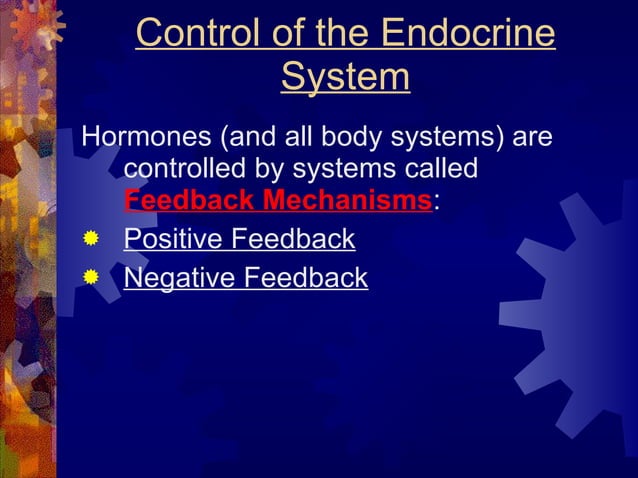 Endocrine Reproductive | PPT