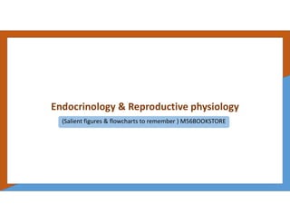 ENDOCRINE & REPRODUCTIVE NOTES.pdf M56BOOKSTORE - JOIN US TELEGRAM | PPT